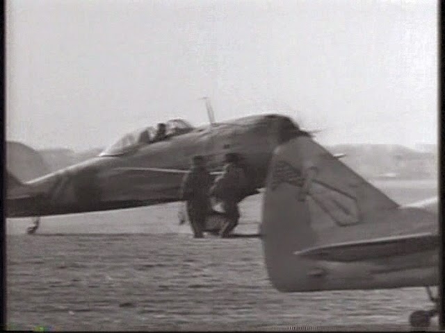 WildEagles: Nakajima Ki-44 "Shoki" - 104 Sentai