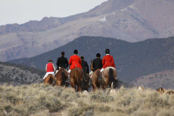 Landess' Landing: Reno's Red Rock Hounds Invites You to One Heck of a ...