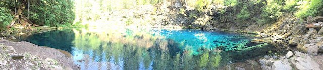 The Closet Hippo: Hiking to Blue Pool (AKA Tamolitch Pool) on the ...