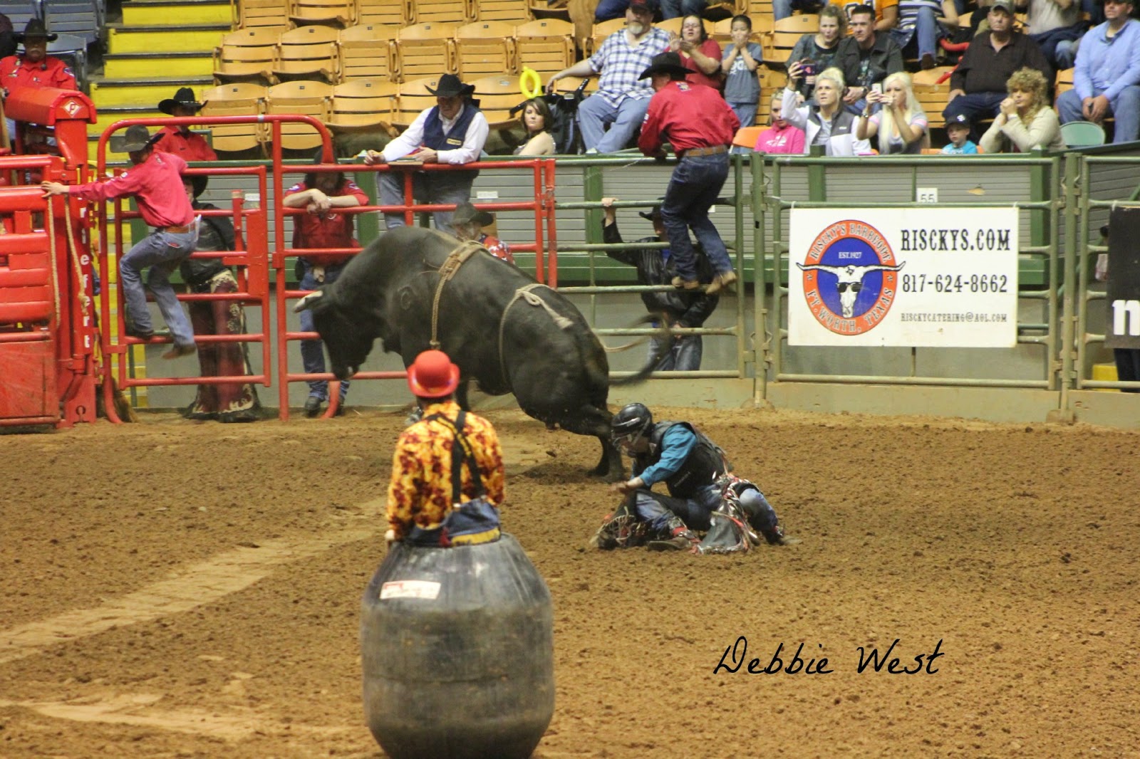 Ladybug from Texas: Saturday night Rodeo at Cowtown Coliseum
