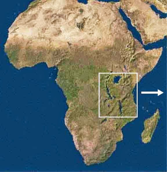 El Arca: GEOGRAFÍA DE ÁFRICA. Lagos del Gran Valle del Rift