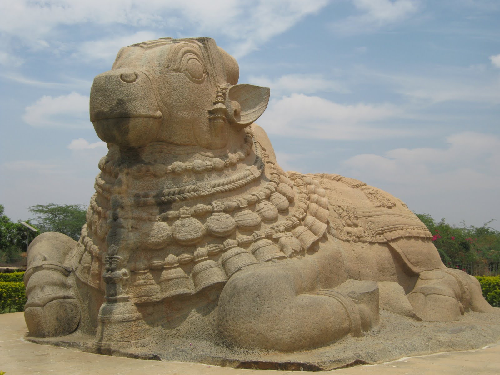 metamorphosis: punters in pavagada