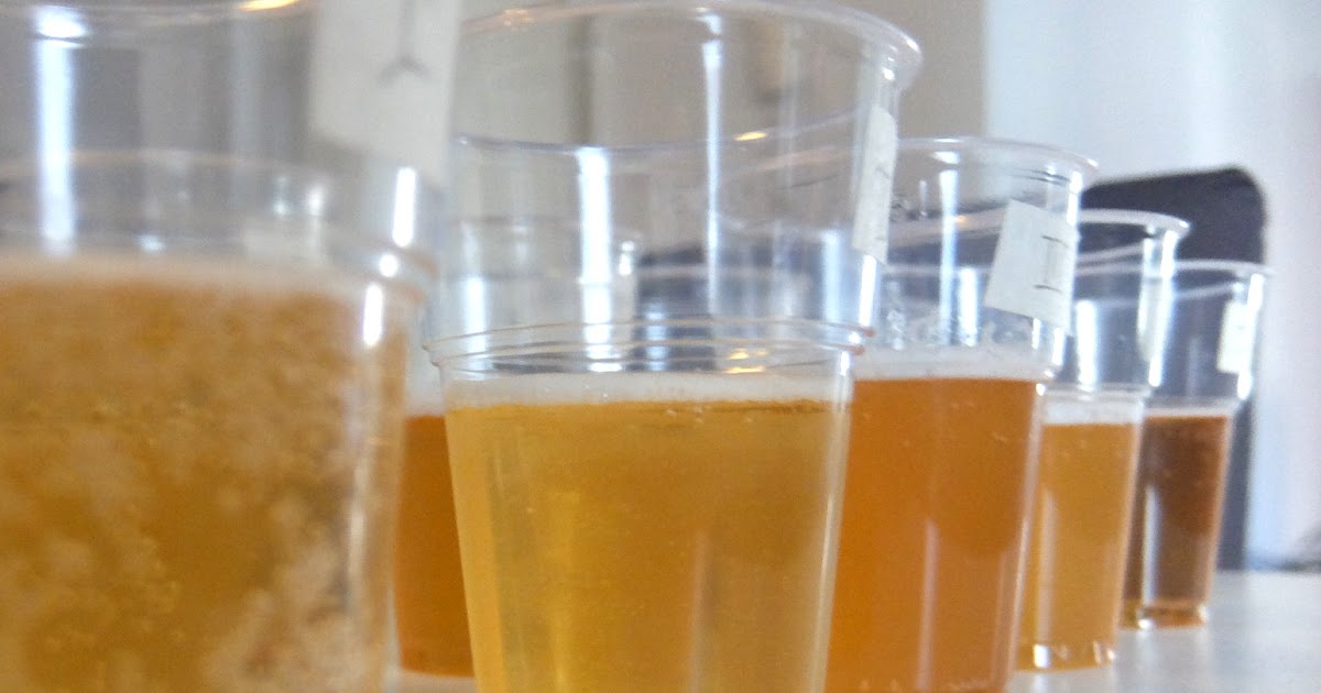 Saimaan siideri- ja olutvertailua