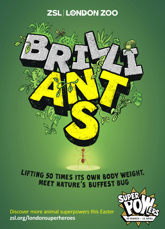 Andy Smith Illustrator Blog