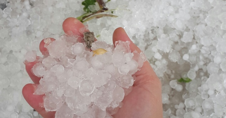 ΜΑΝΙΑΣΜΕΝΟΣ ΑΝΕΜΟΣΤΡΟΒΙΛΟΣ ΣΤΟ ΚΑΒΟΥΡΙ! ΣΗΚΩΣΕ ΚΑΝΤΙΝΑ ΚΑΙ ΕΡΙΞΕ ΔΕΝΤΡΑ ...