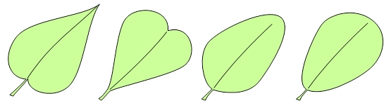 Fleurs sauvages Renaud: Les feuilles