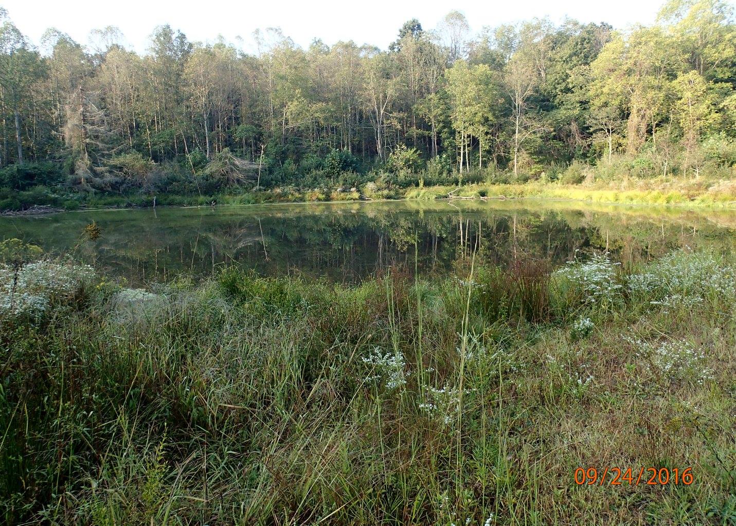 Bobcat Hollow Fly Fishing/Tying: 2018