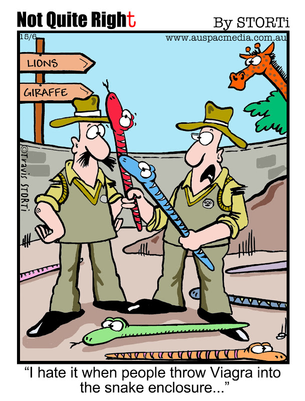 Storticartoons Blog: 2012