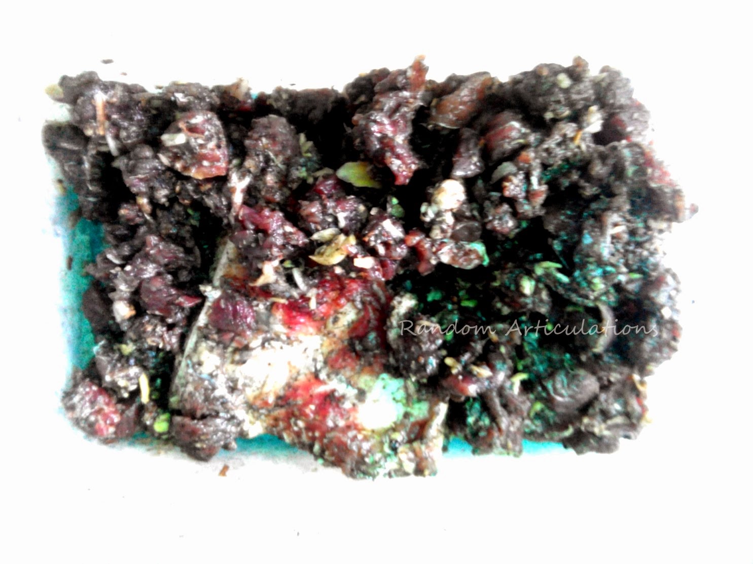 Random Articulations: A First-timer's Guide: How to Cook Tiyula Itum ...