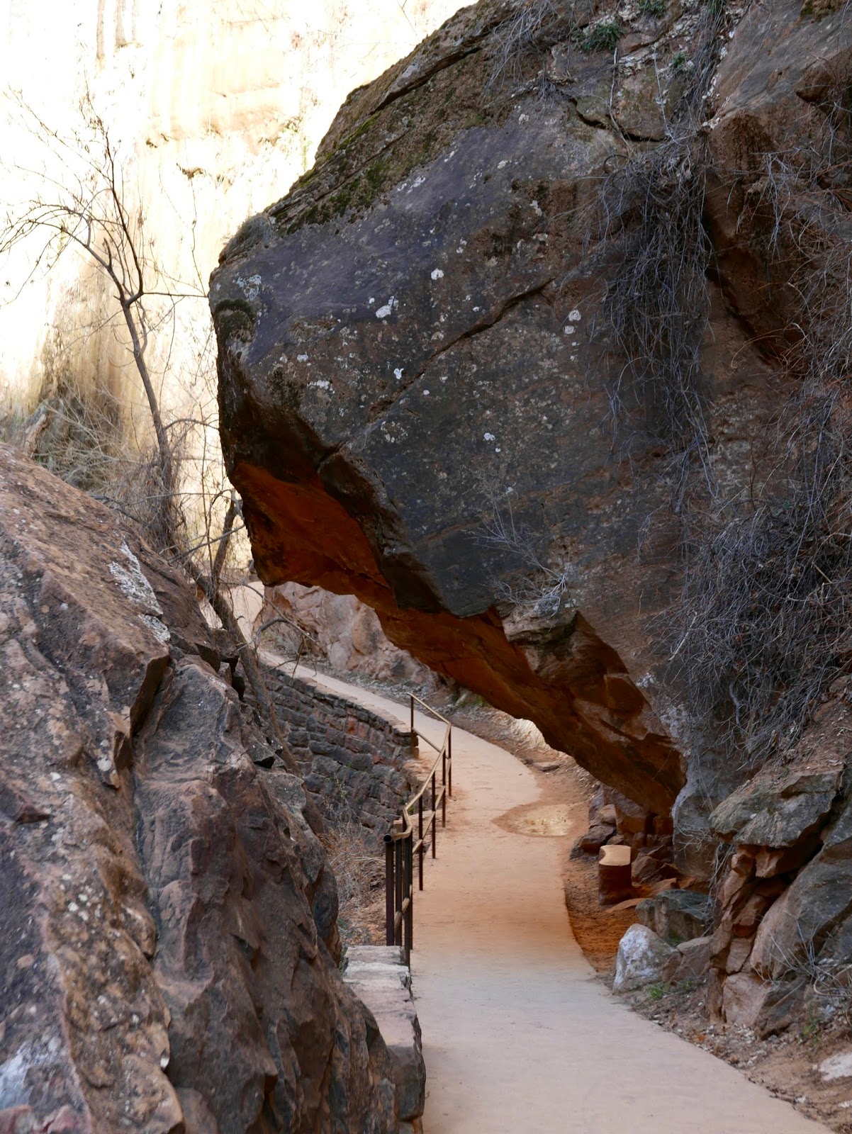 Althouse: At the Crooked Walk Café...