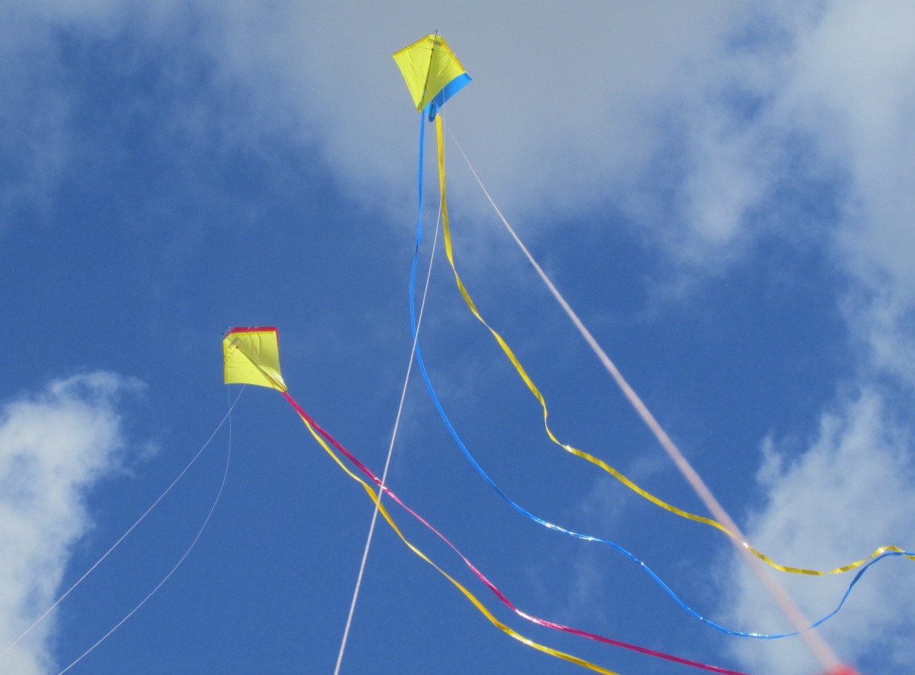 Peter Powell kites collection: Double 2-stack of Peter Powell Stunters