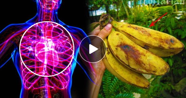 Health Benefits of Cardava Banana (Saging na Saba} that You Might Not Know