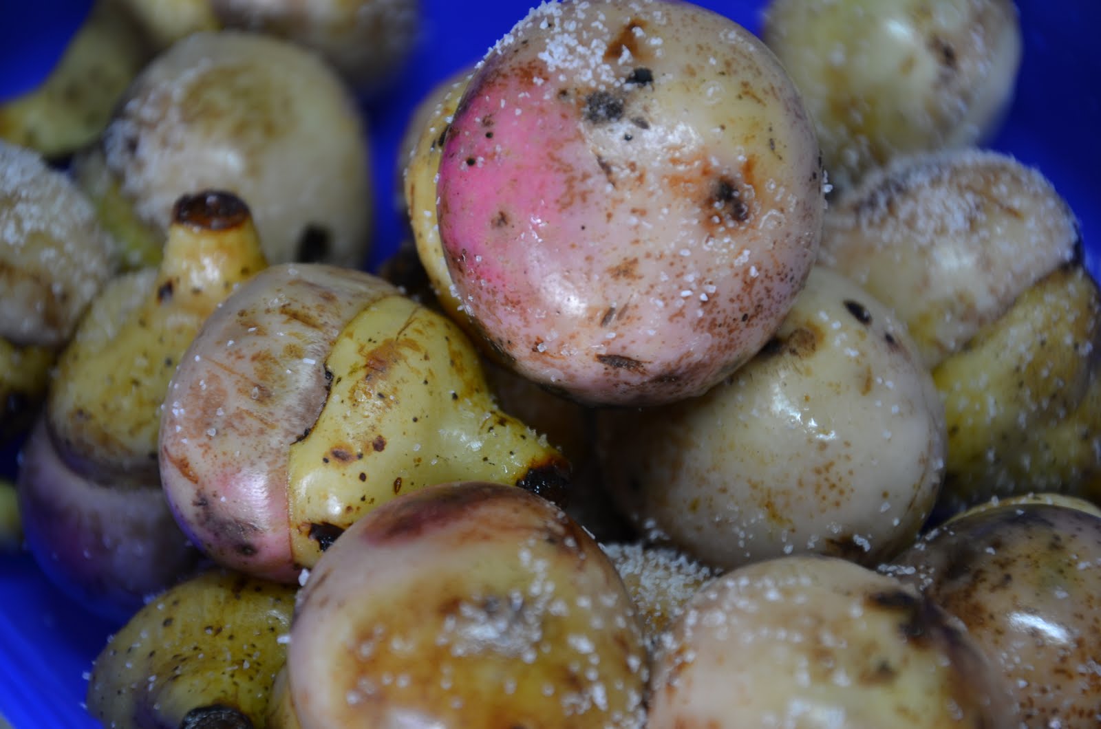 theStoryOfMyLIFE: engKALAK@indigenous fruit of Sarawak