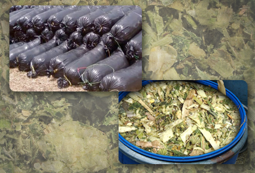 ABONOS ORGÁNICOS.: Elaboracion de ensilajes