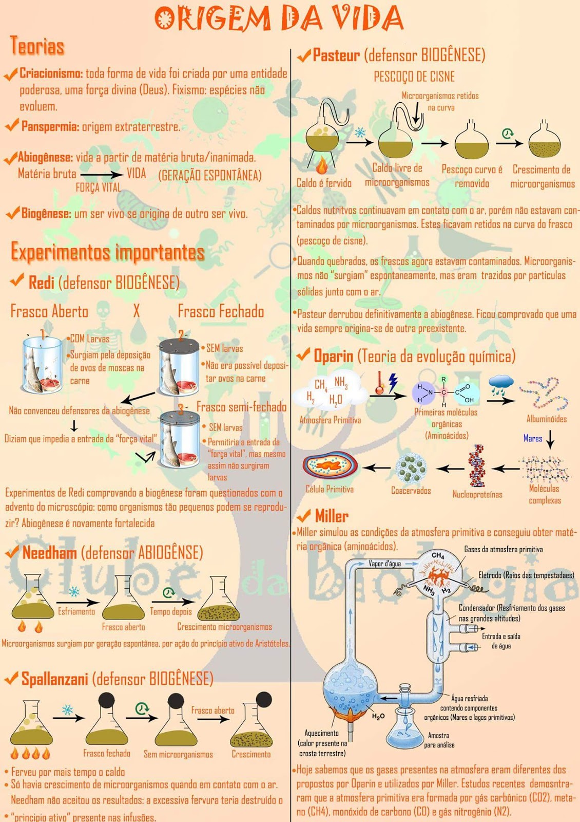 Papos de Biologia: 7º Ano: Origem da Vida.
