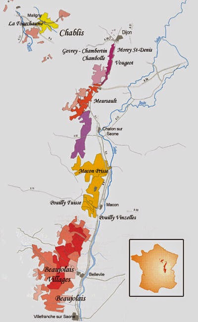 Wset wine maps - laderdirty