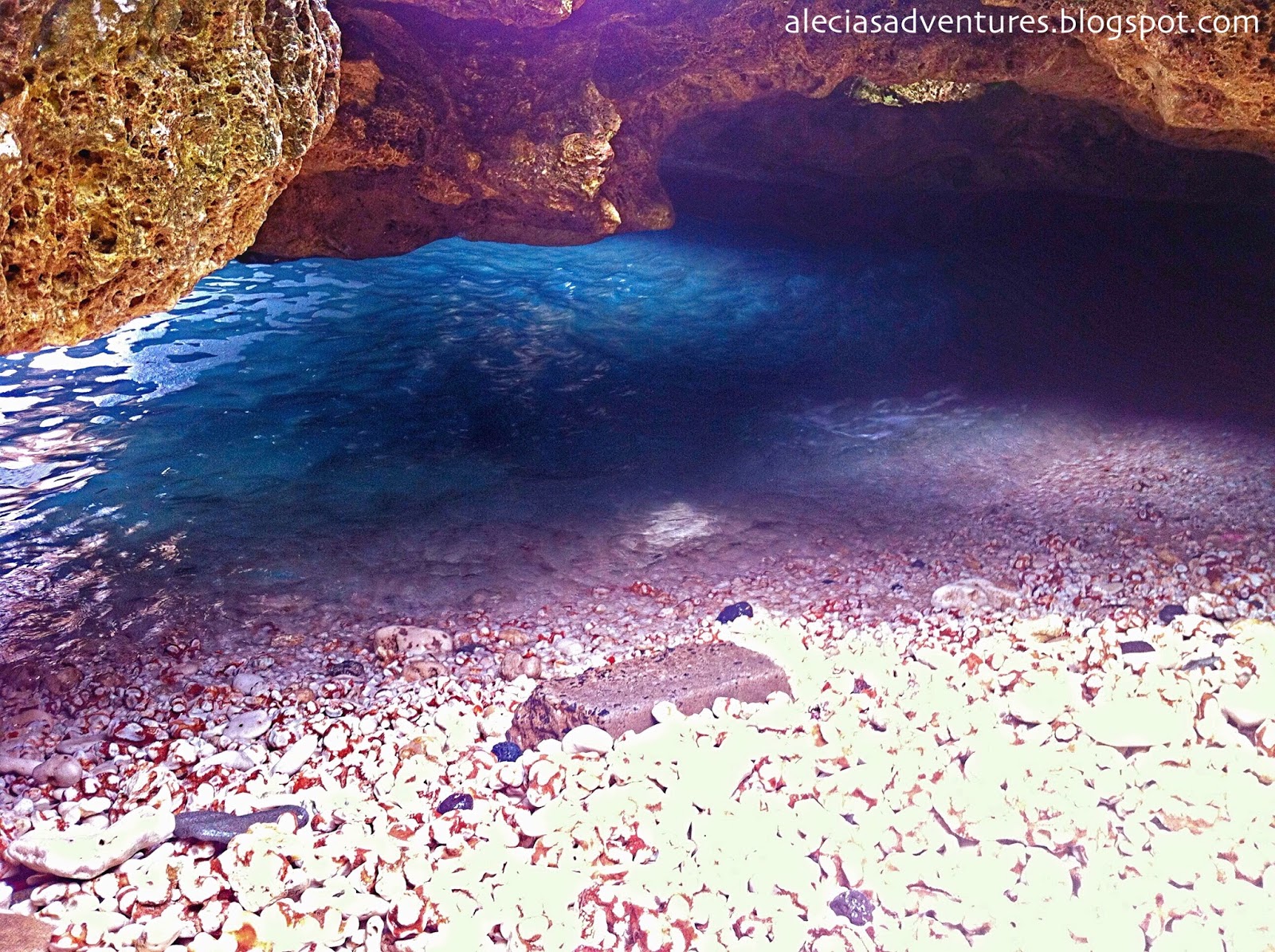 An O'ahu Secret: The Mermaid Cave - Alecia's Adventures