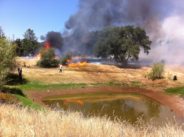 Copper Gazette: Baker fire photos from viewer