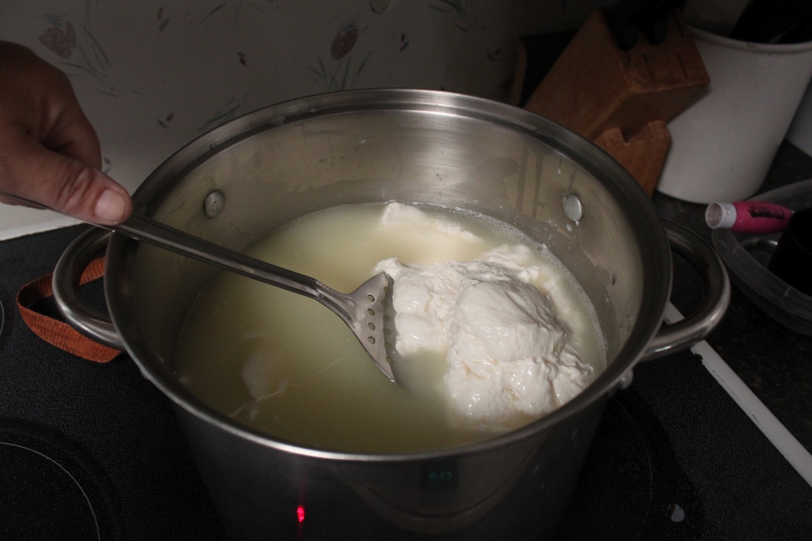 Homestead Life: How To Make Mozzarella (String) Cheese