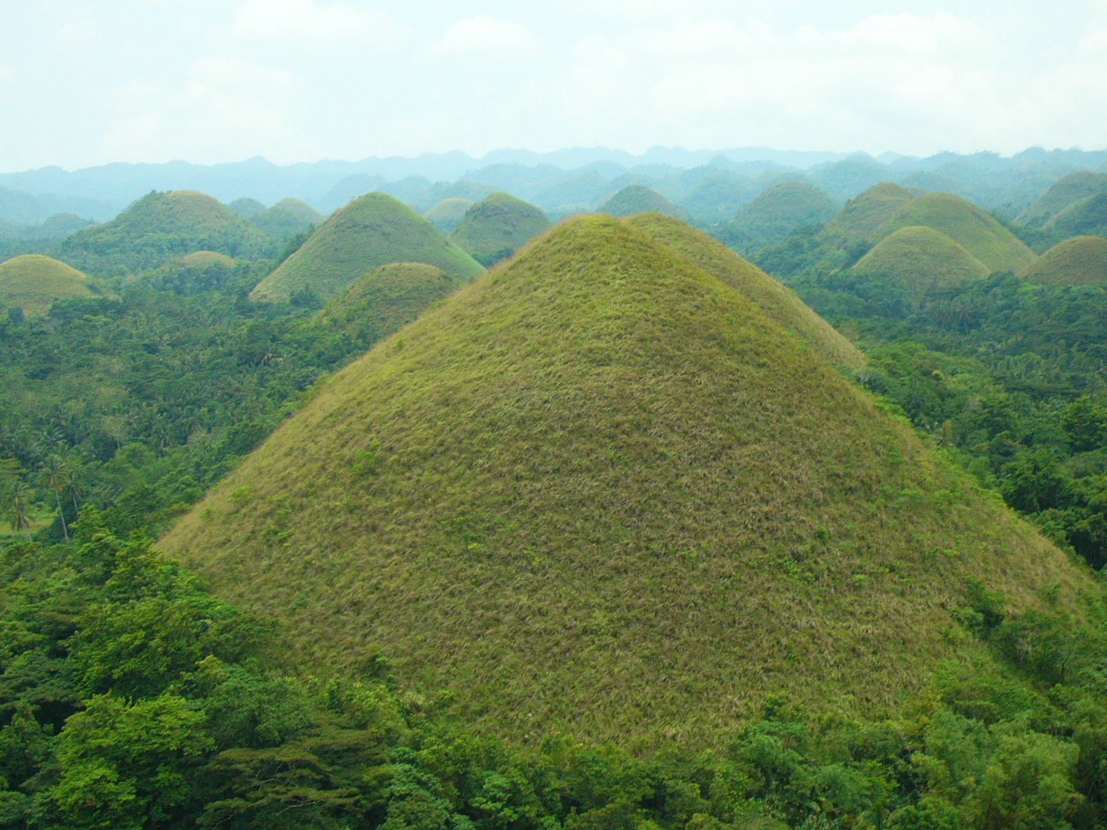 EXPLORING THE PHILIPPINES: Bohol - A Remarkable Nature's Lover Province