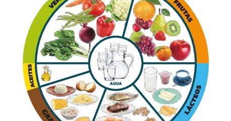 DIETAS: TIPOS Y CARACTERÍSTICAS