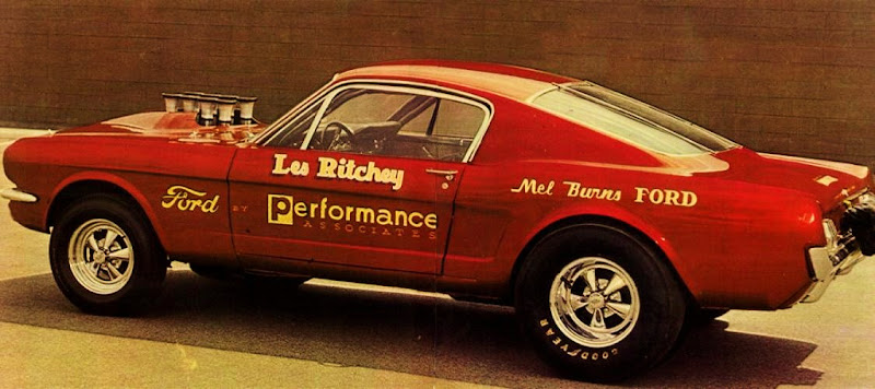 The Magnetic Brain: Quarter Horse