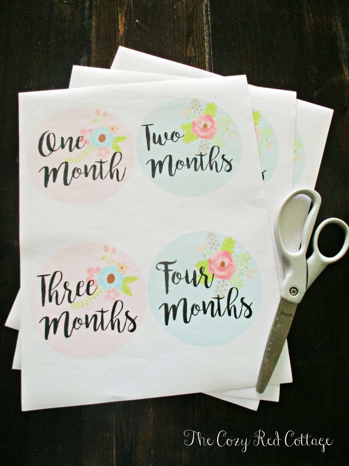 The Cozy Red Cottage: Free Baby Girl Monthly Milestone Stickers