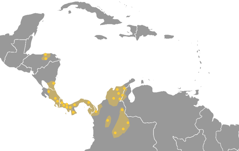 Chibcha Muisca Lost Civilization: Chibcha Muisca Forgotten Civilization ...