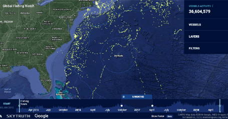 Maps Mania: The Shark Tracking Map