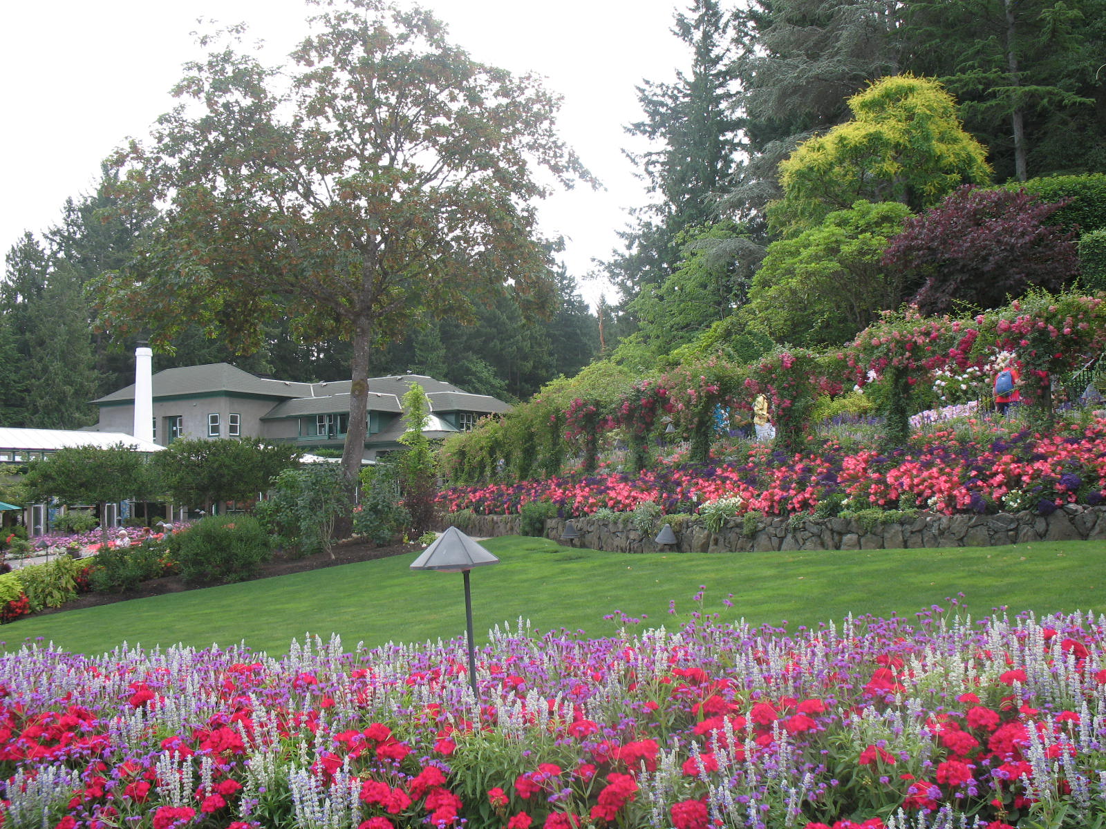 Miss Bloomers : Butchart Gardens