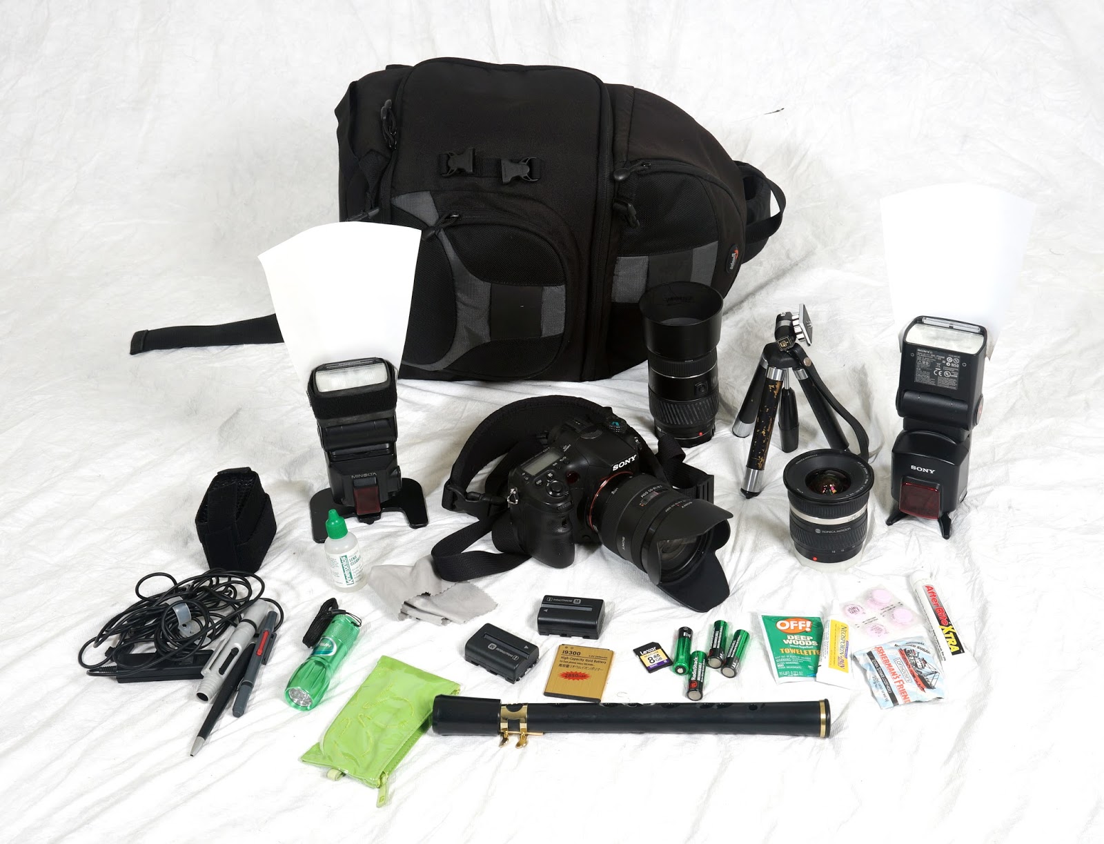 The Friedman Archives Blog: What's in My Camera Bag(s)? (And other stories)