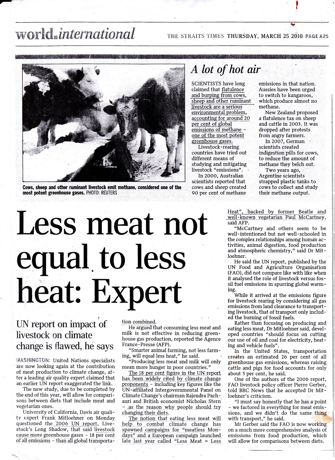 The Dark Shadow Shrine: Eat Less Meat to Save Mother Earth