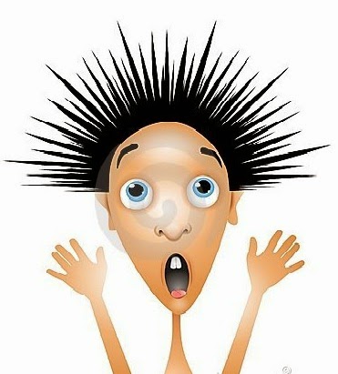 French Vocabulary Illustrated: hérisser