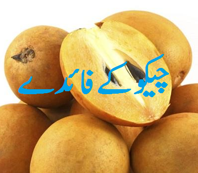 Chikoo Benefits Urdu Chikoo Ke Faide Chiku Benefits Hindi For Weight ...