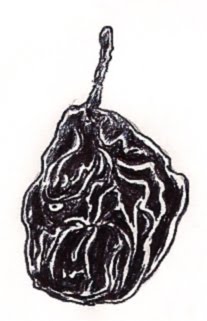 Escalofriorgasmicosmicuántico: Curso de noruego. Lección 22: Los ...