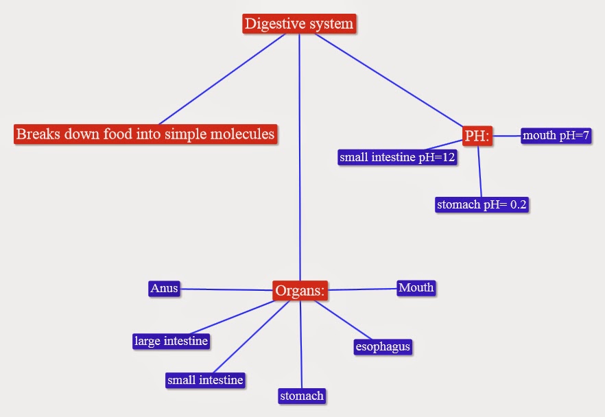 Genius-Sceintest: Sample examaple of mind map for digestive system