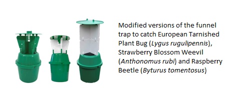 Insect Traps and Lures - Sentomol: Soft Fruit Traps and Lures