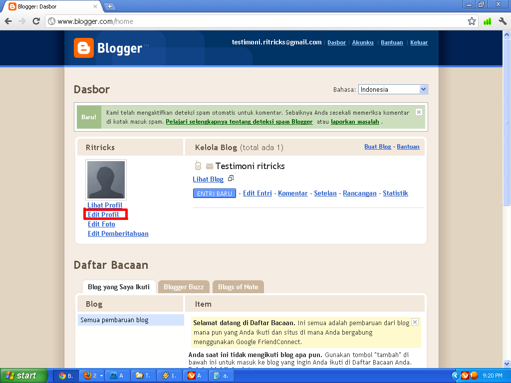 Be Unique: Setting Blogger Profiles