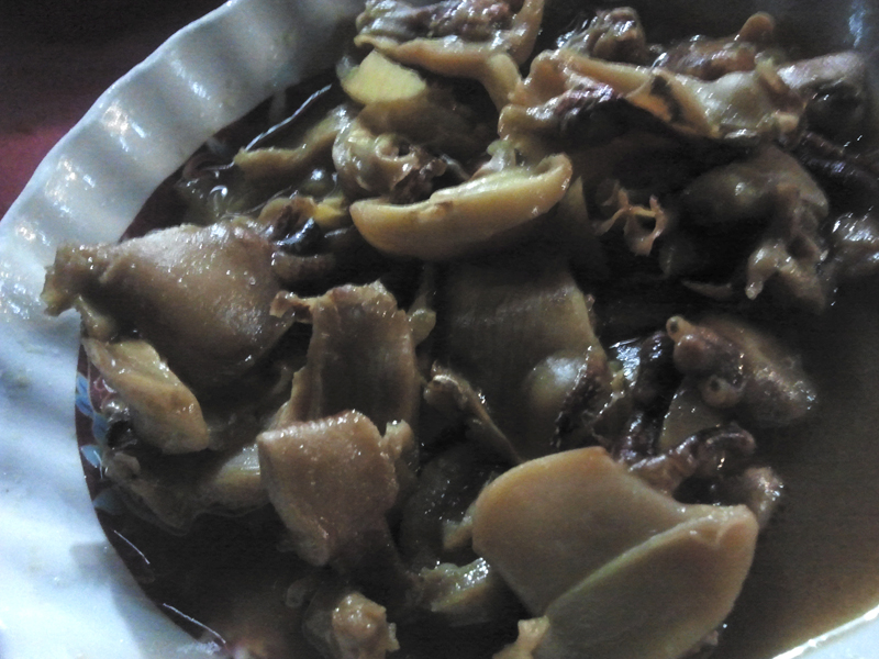 MAMACHIA: KIMA DAN KAHANGA SODAP!!