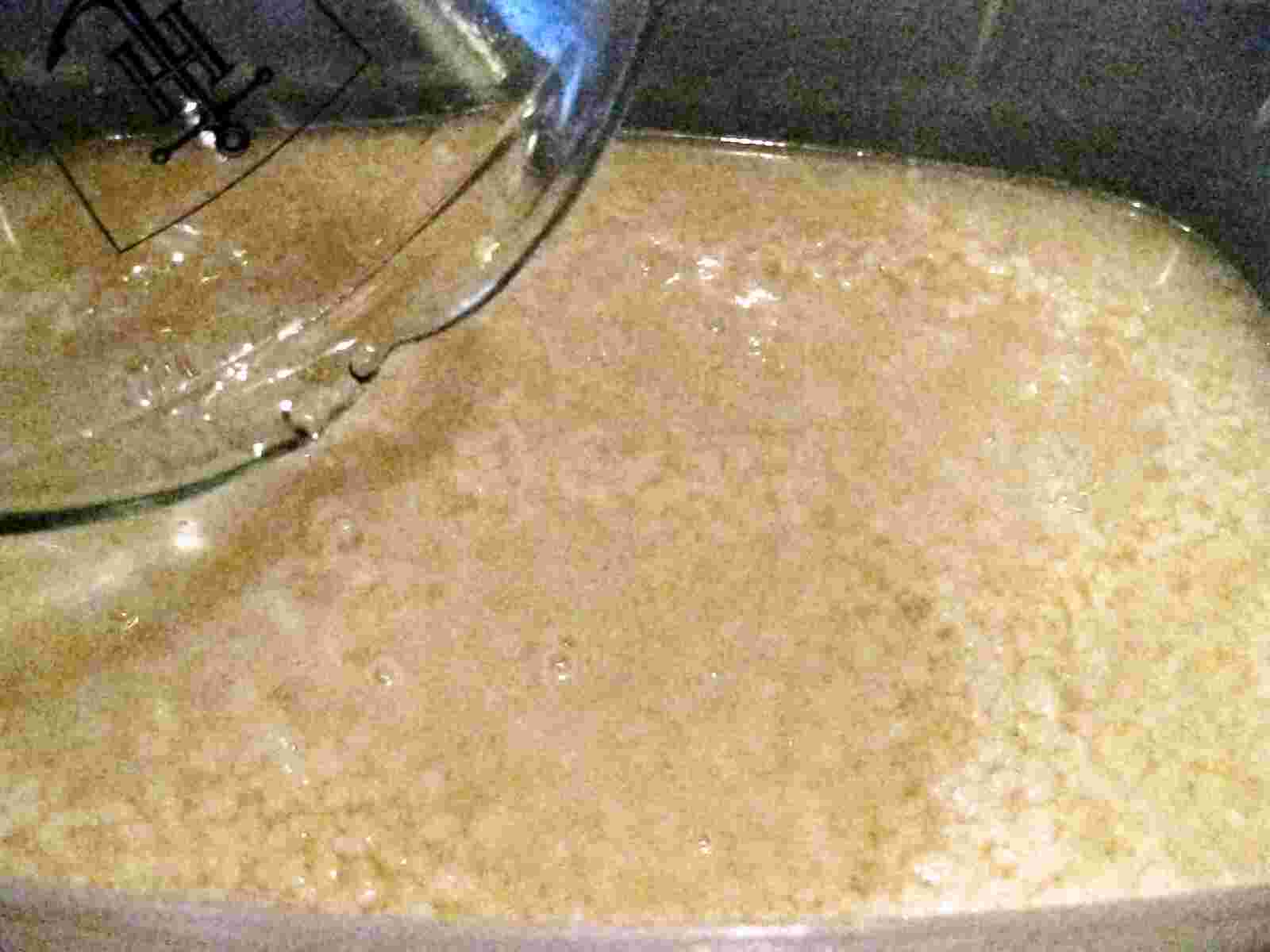 Recipes for Tom: Shiokoji salted rice malt