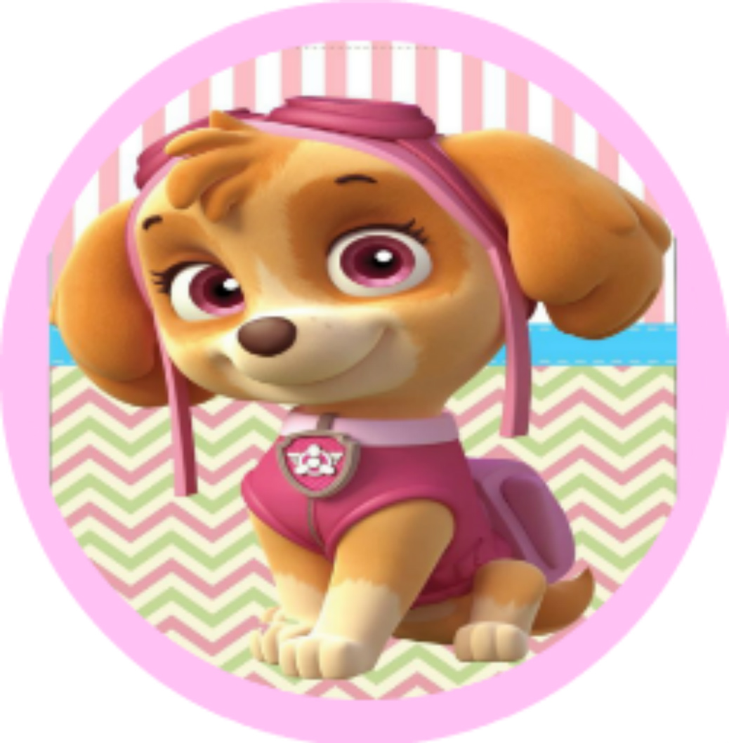 Edible Paper in Creatividades: PAW PAW PATROL