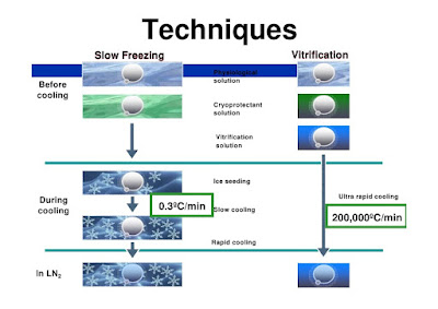 CRYOPRESERVATION: December 2017