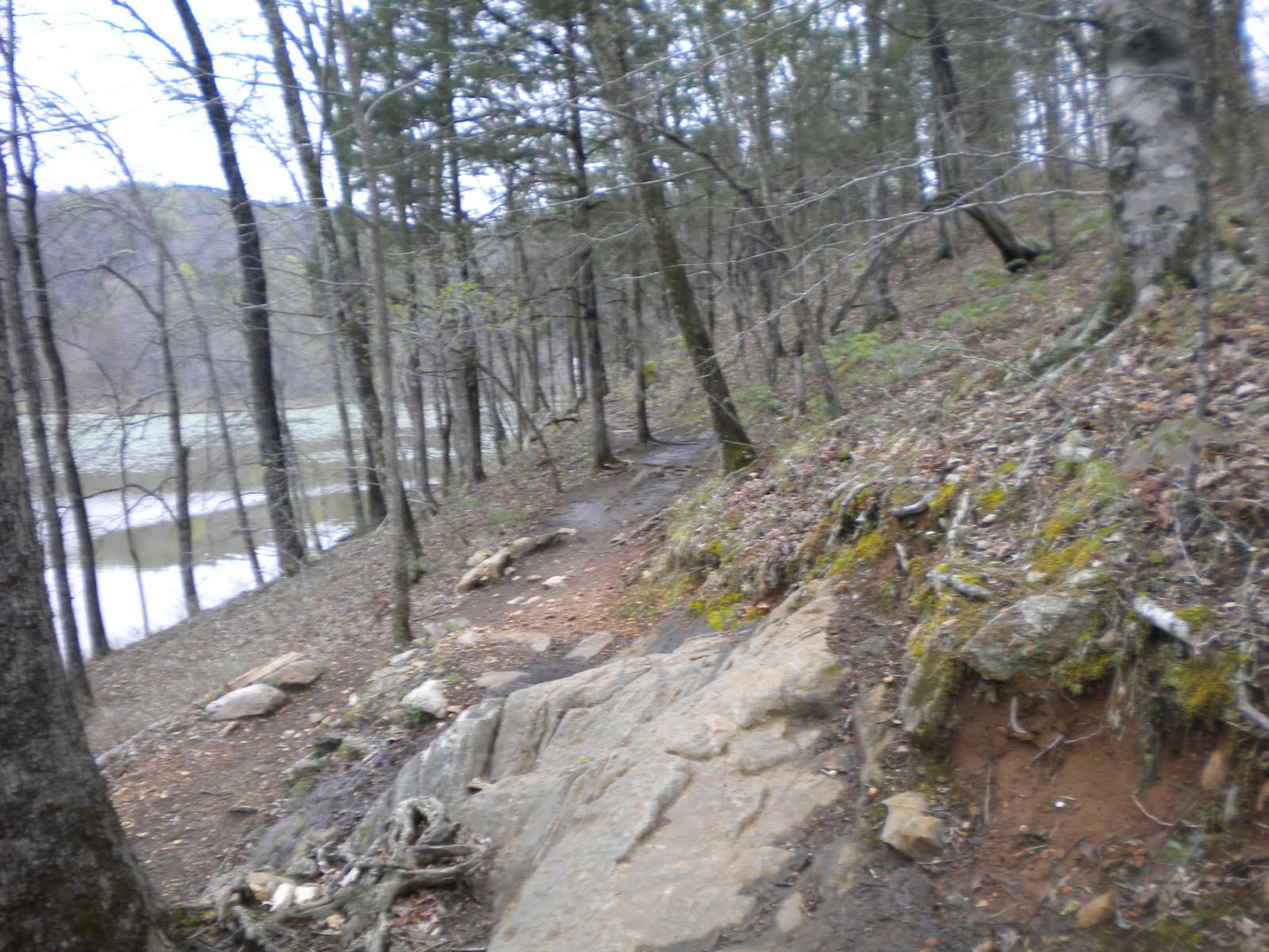 Kansas City Rasta Rider: Issaqueena Forest in pictures and captions.