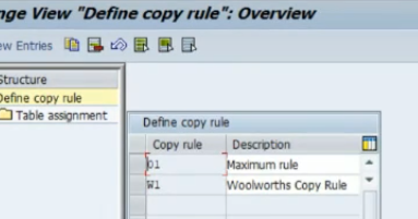 What is copy rule and how it copies the data form the ref site