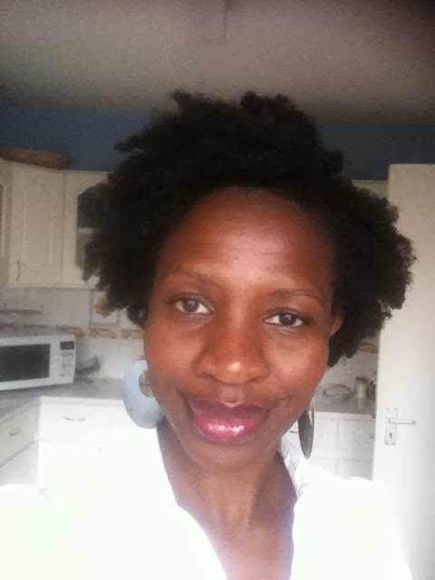 My Big Fat Afro: Un-Styled Hair: The Ugly Side of Natural Hair