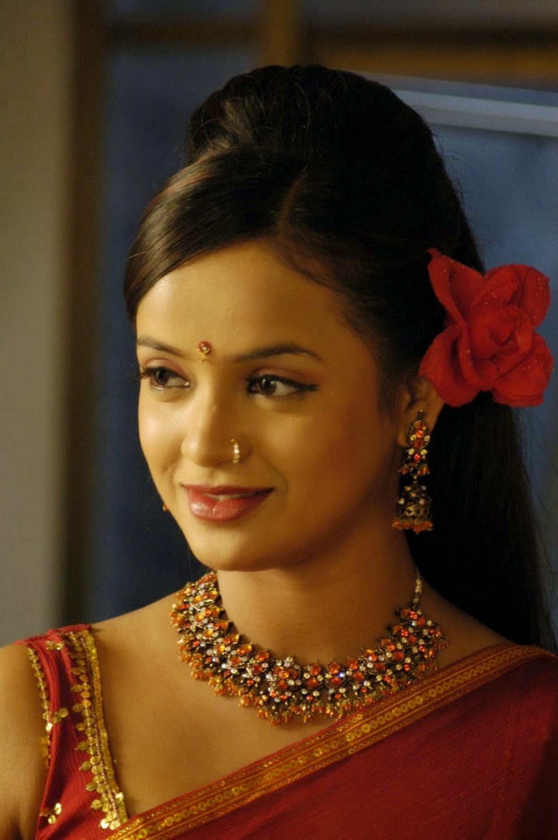 South Actress Tanu Roy Red Hot Saree | Indian Actress Sarees