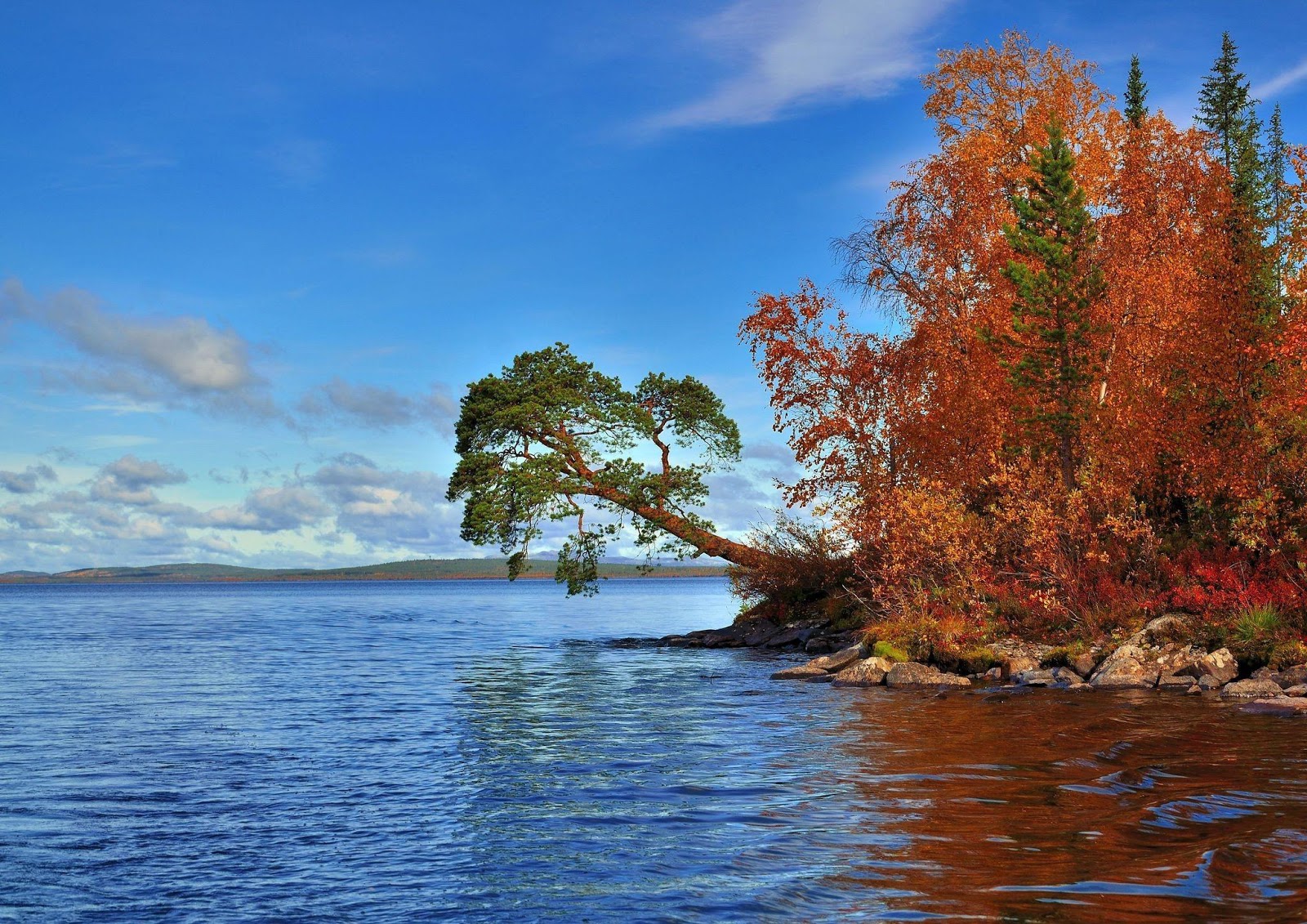 BANCO DE IMÁGENES GRATIS: 12 paisajes naturales para meditar - Amazing ...