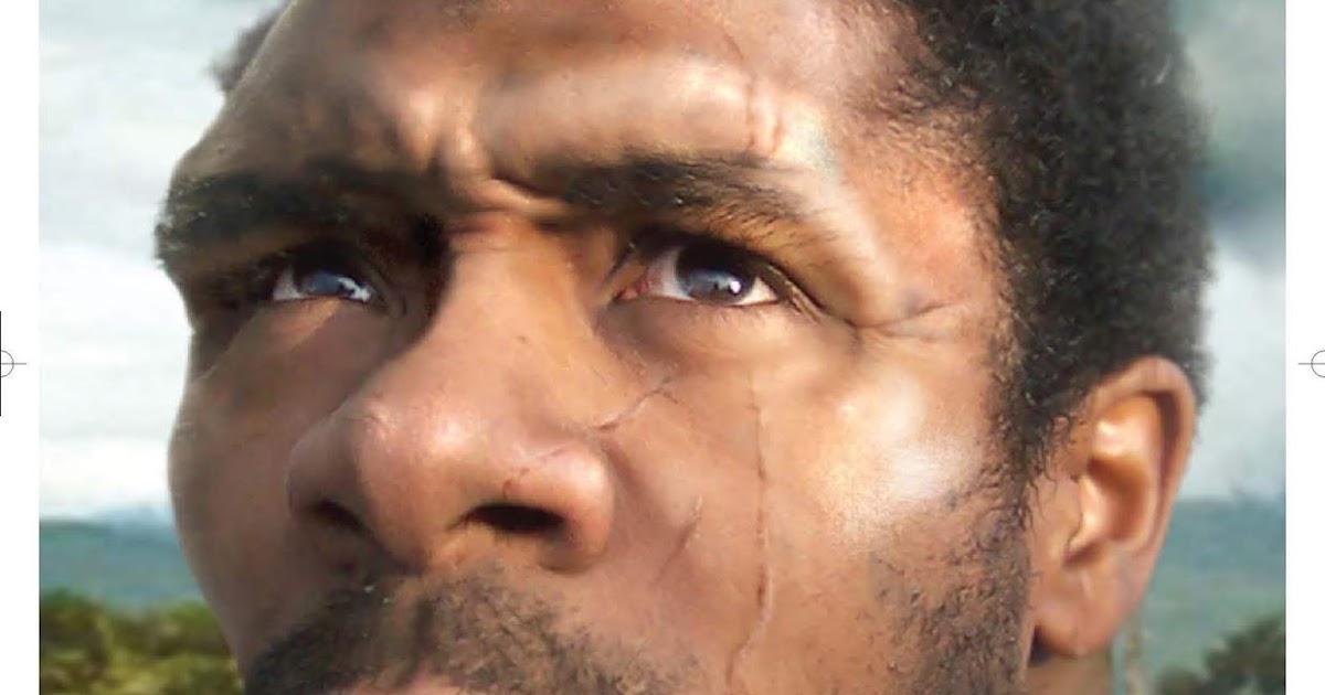 THE HUMAN RACE, "The Long Walk".: HOMO SAPIENS(ancestor)