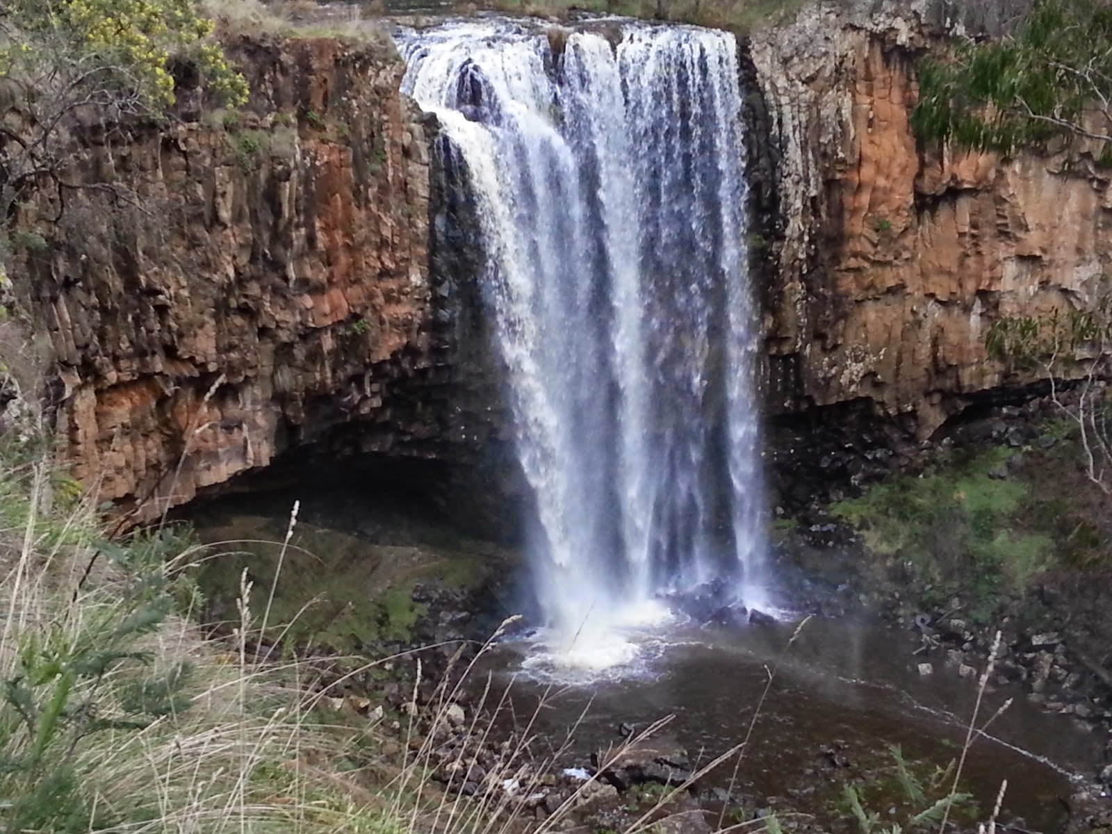 Day Out with Dog (Victoria Australia): A day out in Kyneton (my rating B)