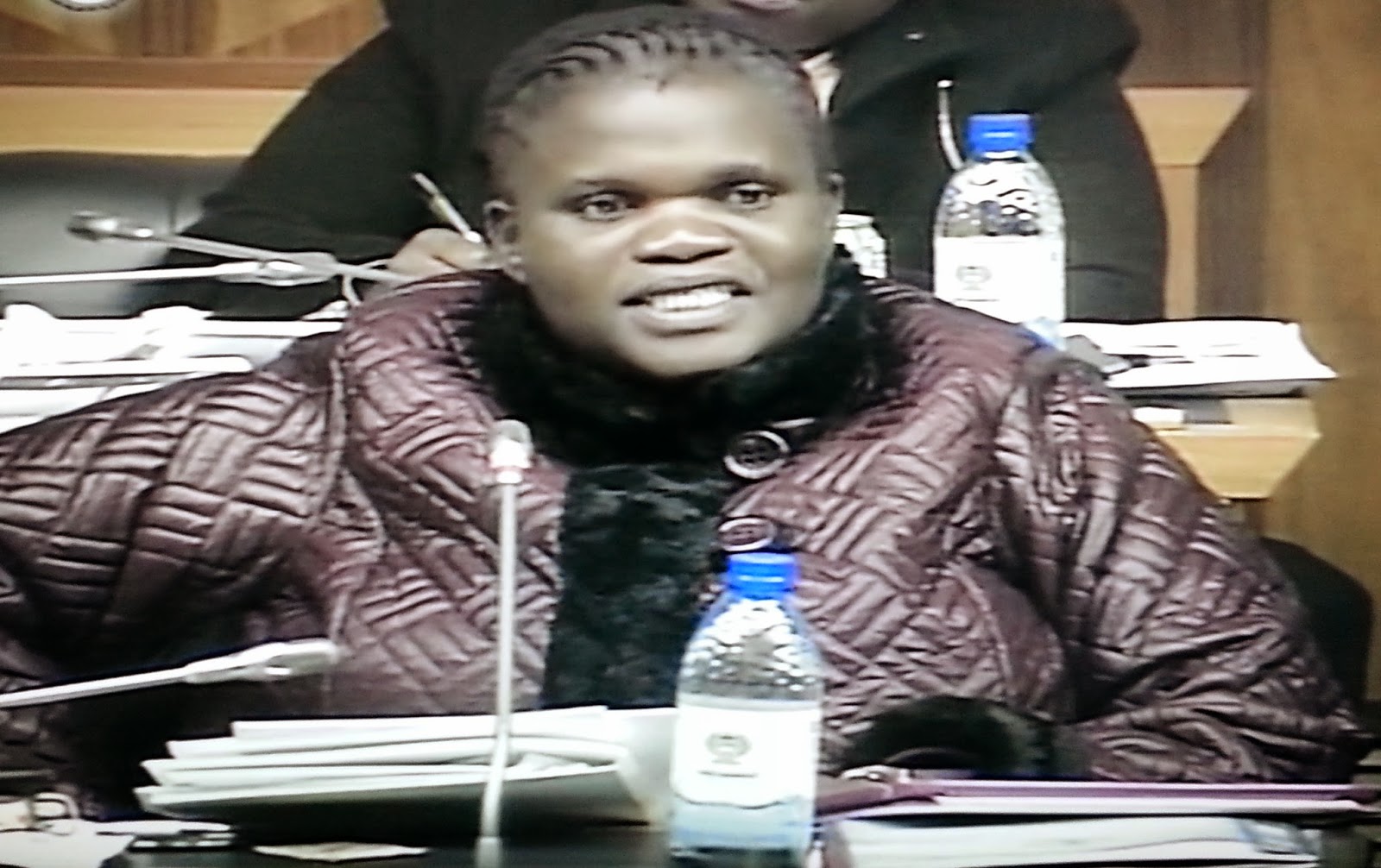 TV with Thinus: Communications minister Faith Muthambi approves that ...